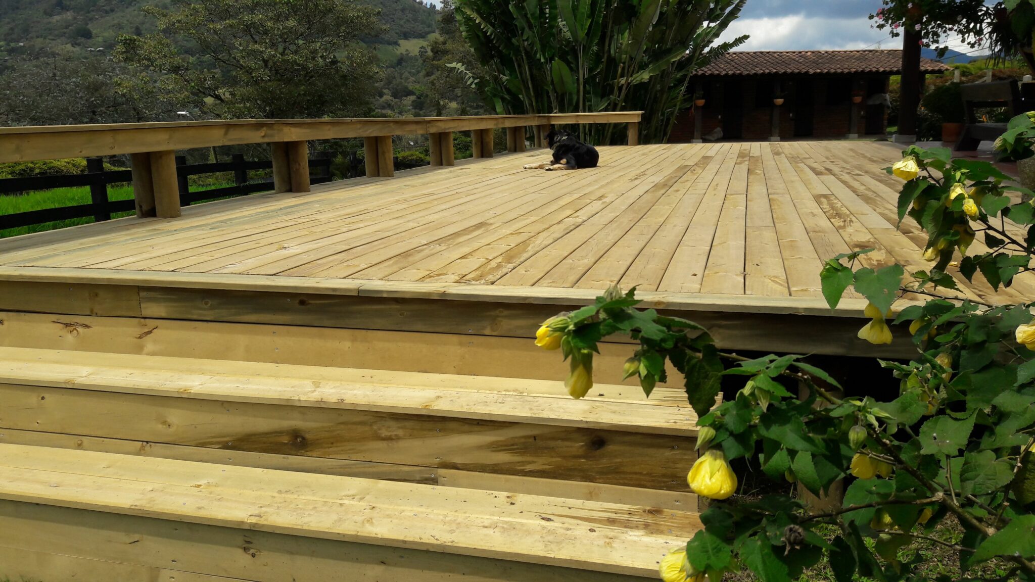 Diseños de Decks – deck en madera inmunizada